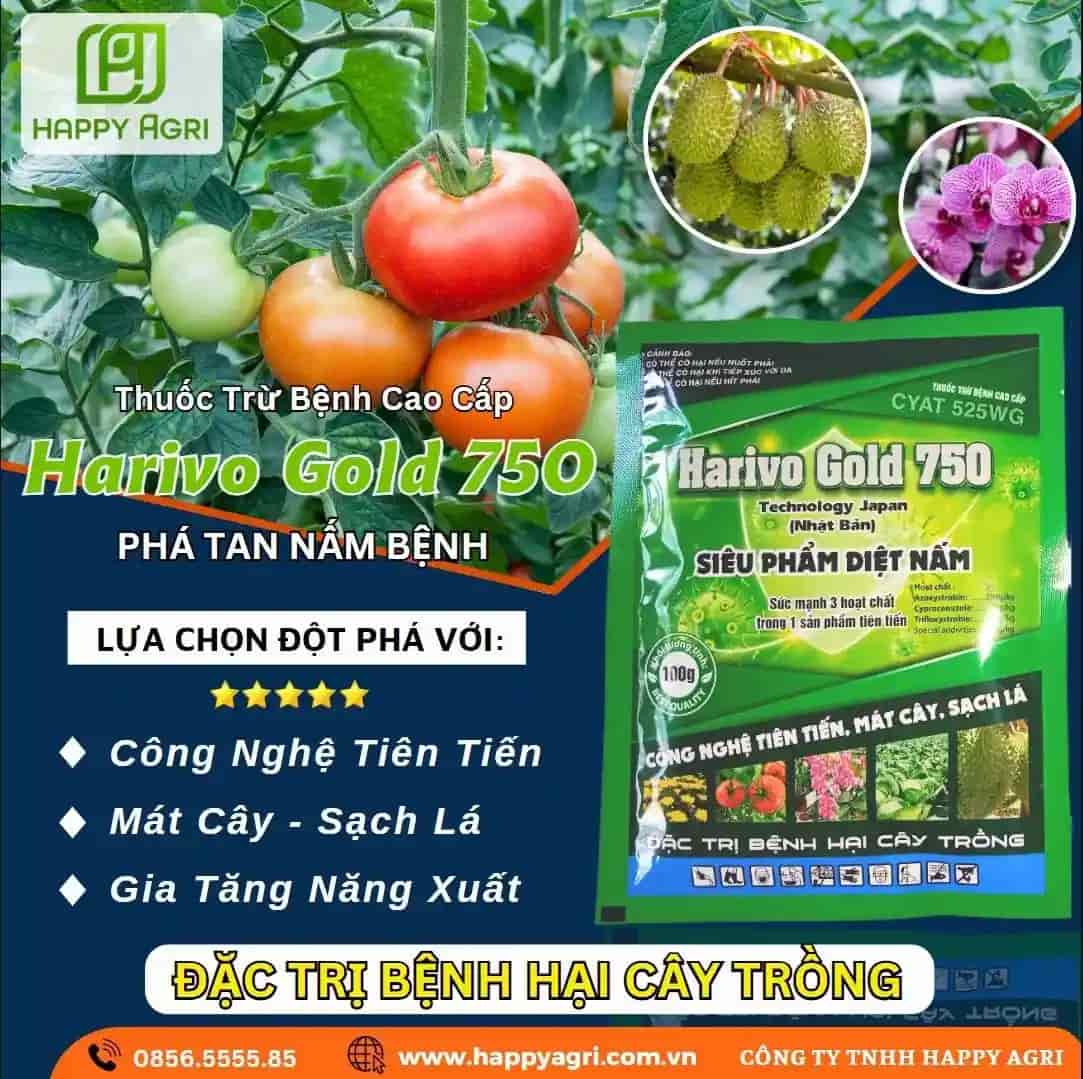Thuốc Trừ Bệnh Cyat 525WG - Harivo Gold 750 Giá Tốt Nhất