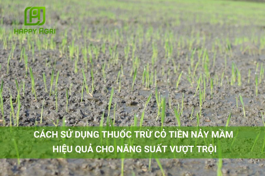 # Cách Sử Dụng Thuốc Trừ Cỏ Tiền Nảy Mầm Hiệu Quả Tăng Năng Suất