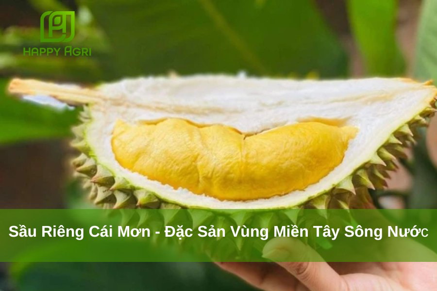 # Sầu Riêng Cái Mơn - Đặc Sản Vùng Miền Tây Sông Nước